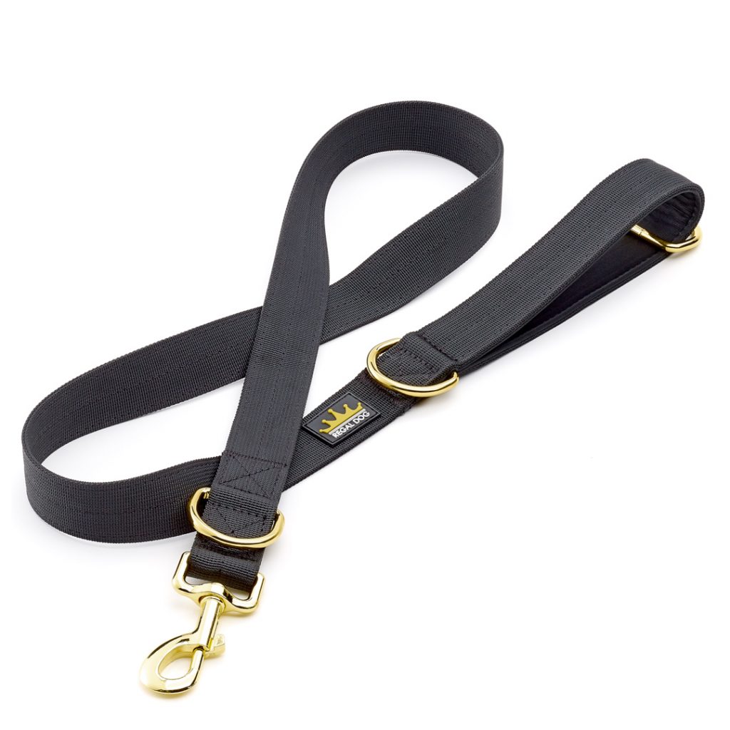Home - REGAL DOG - Luxury Dog Collars