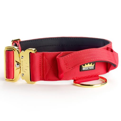 Home - Regal Dog - Luxury Dog Collars