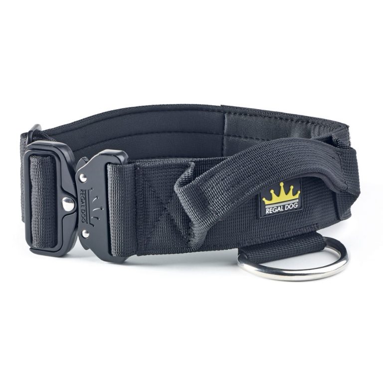 Home - Regal Dog - Luxury Dog Collars