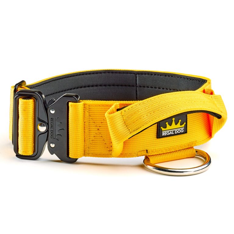 Home - REGAL DOG - Luxury Dog Collars