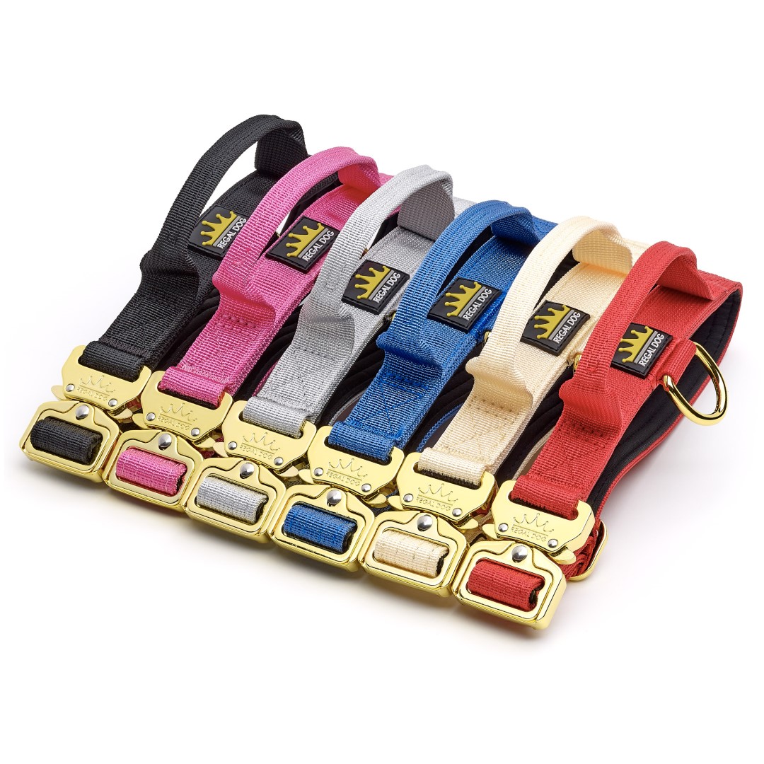 Gold Series - Luxury Dog Collars - Regal Dog