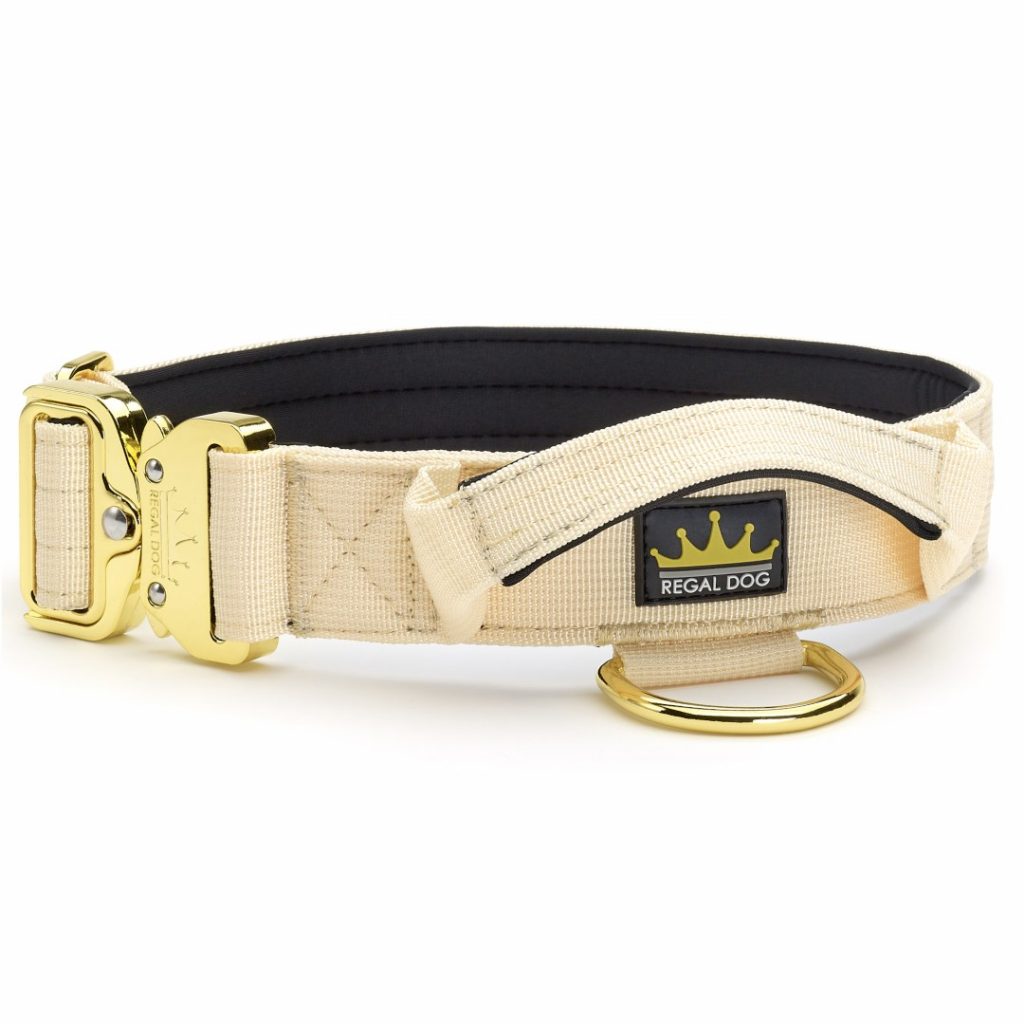 4cm Gold Series - Luxury Dog Collars - Regal Dog