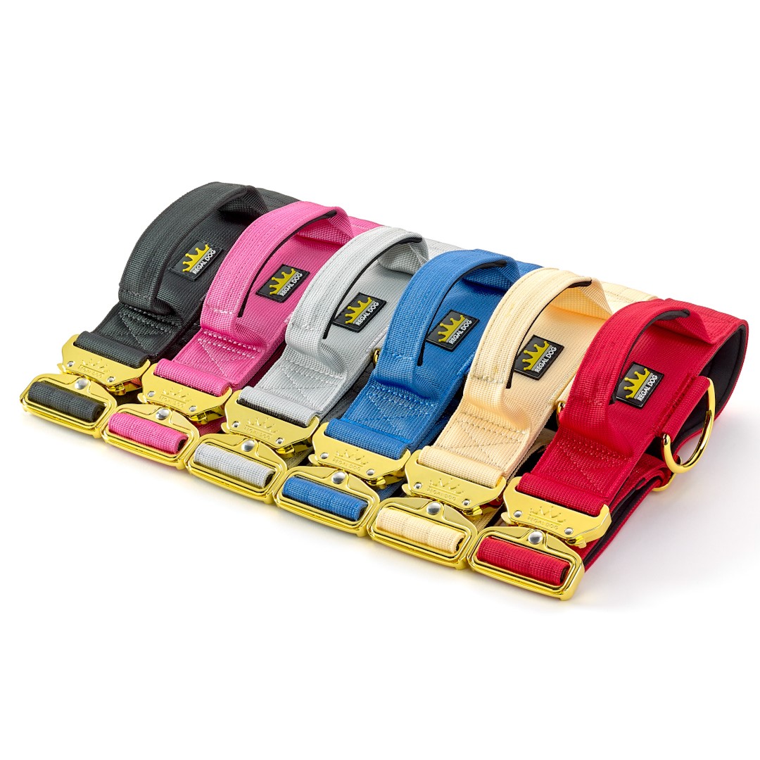 Gold Series Range - Regal Dog - Luxury Dog Collars