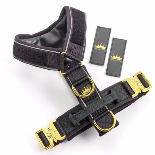Black Gold Series Deluxe Harness - Regal Dog - Slip-On Dog Harness