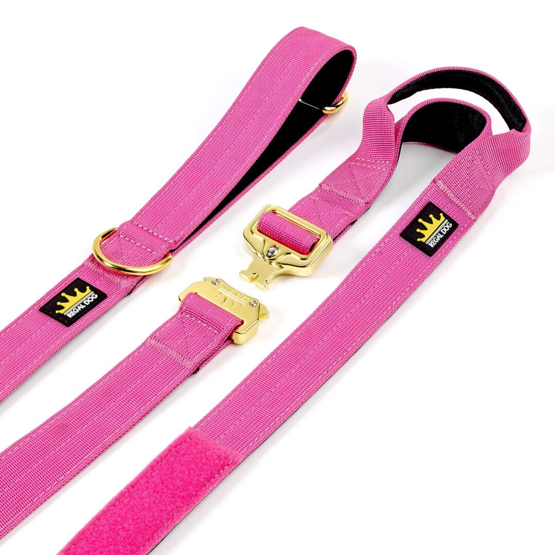 Rose Pink - Gold Series Lead - Frog Clip - REGAL DOG - Tactical Dog Lead